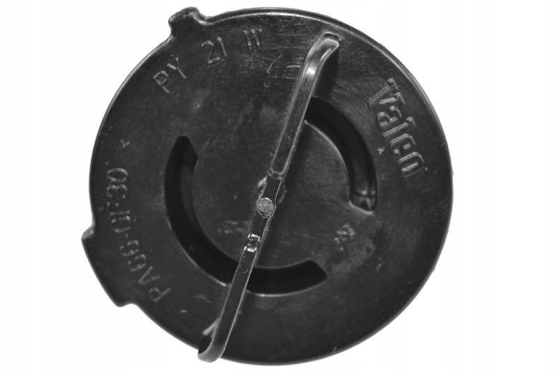 Купить ПАТРОН ЛАМПЫ MEGANE III CLIO III 7701069725 (8745964669) с ...