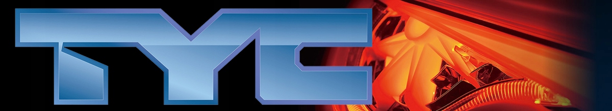 Купить LAMPKA TABLICY REJESTRACYJNEJ RENAULT MEGANE III (10051585193) с ...